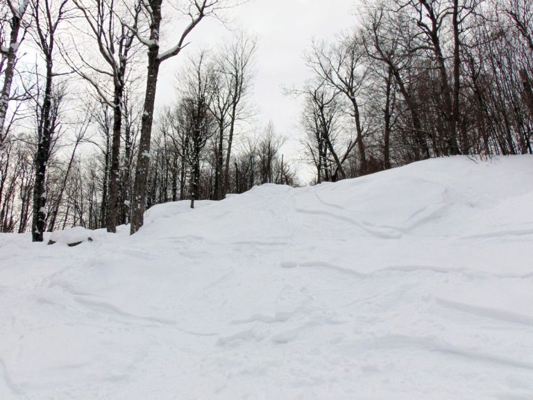 Suivez le guide au Mont Avalanche - Zone.Ski