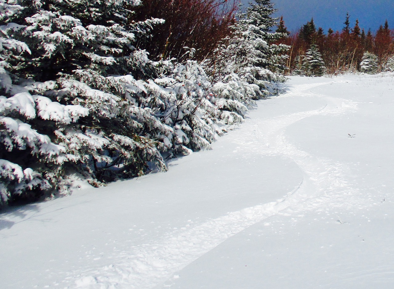 Mont Miller, Expérience unique – 100% neige, 28 décembre 2019 - Zone.Ski