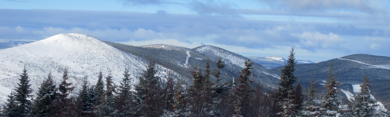 Mont Miller, Expérience unique – 100% neige, 28 décembre 2019 - Zone.Ski