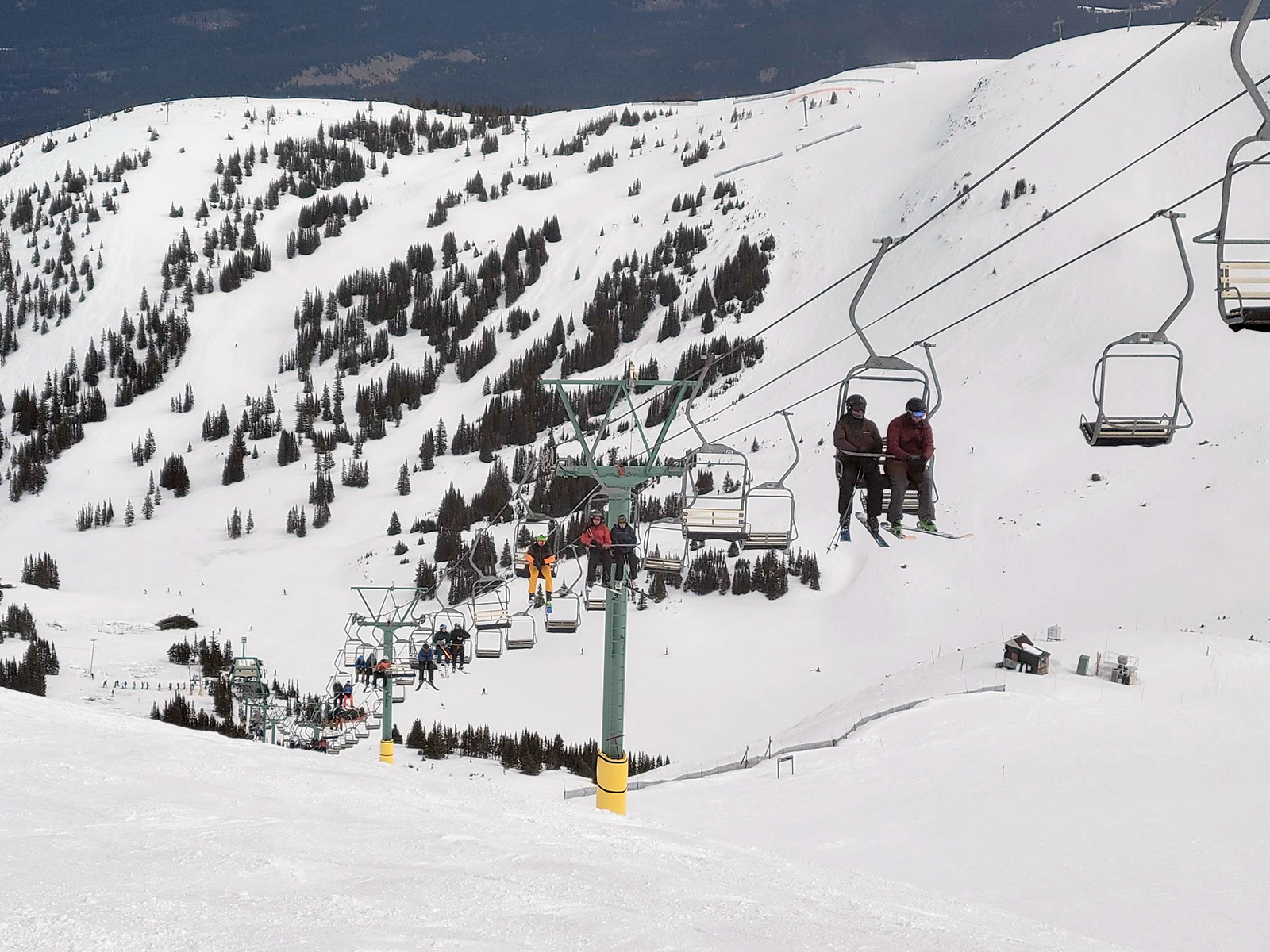 À la découverte de Marmot Basin, Alberta - Zone.Ski