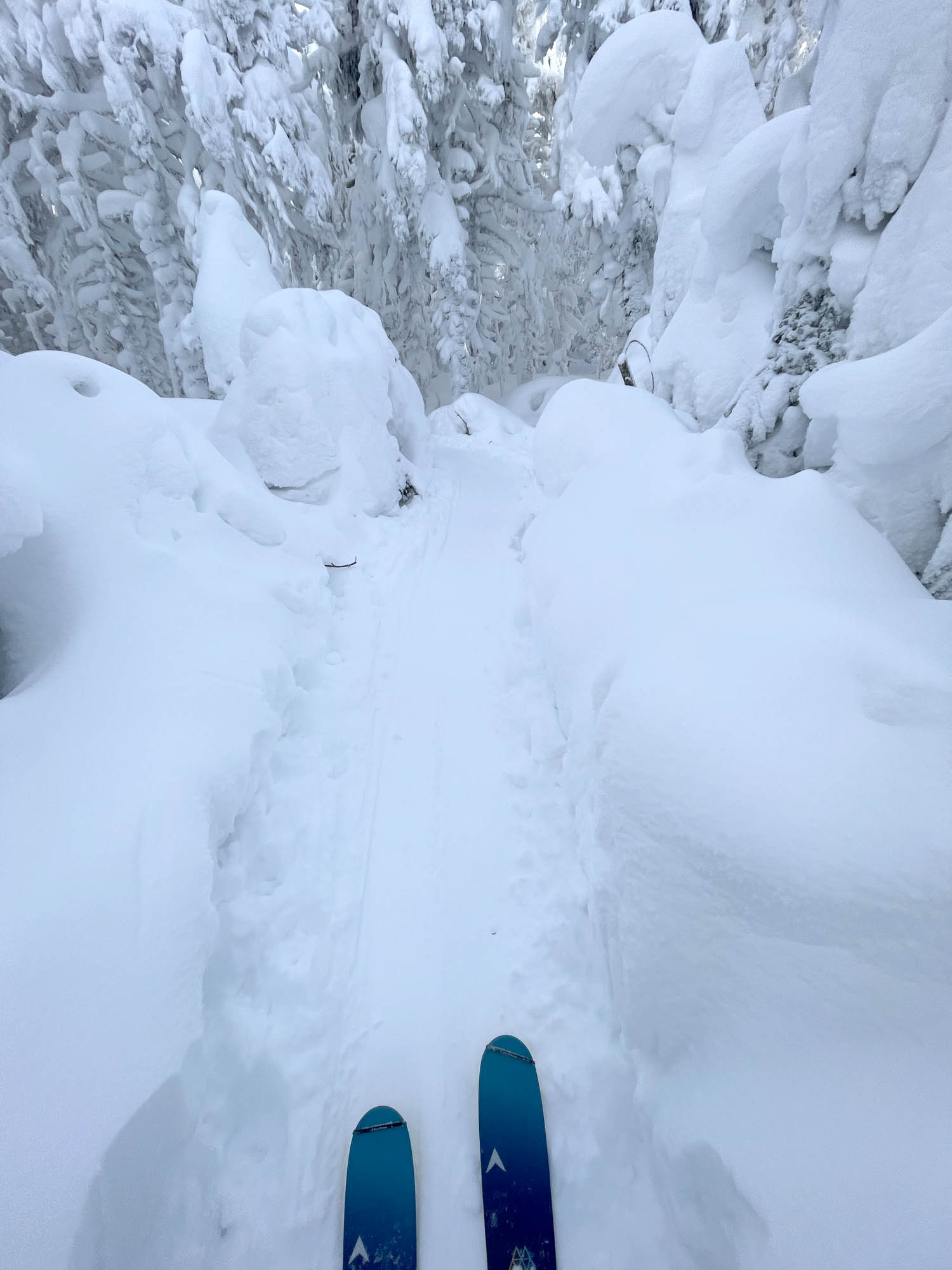 Le Massif du Sud autrement: la rando alpine - Zone.Ski